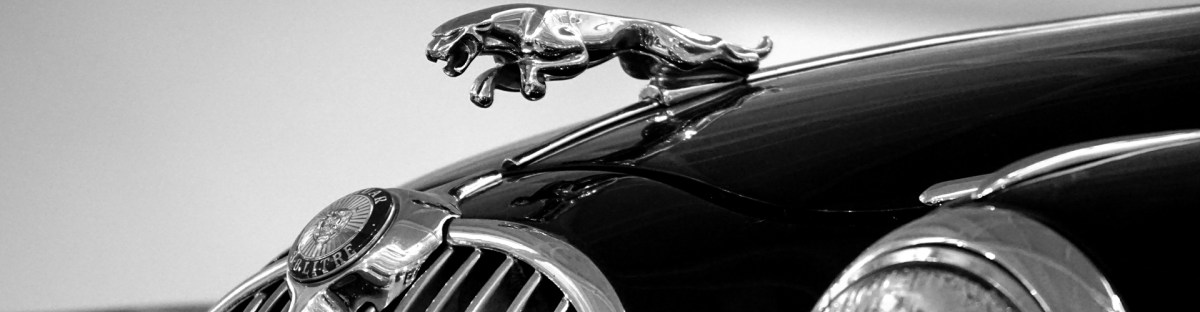 Julian Ferraro – Jaguar Specialist